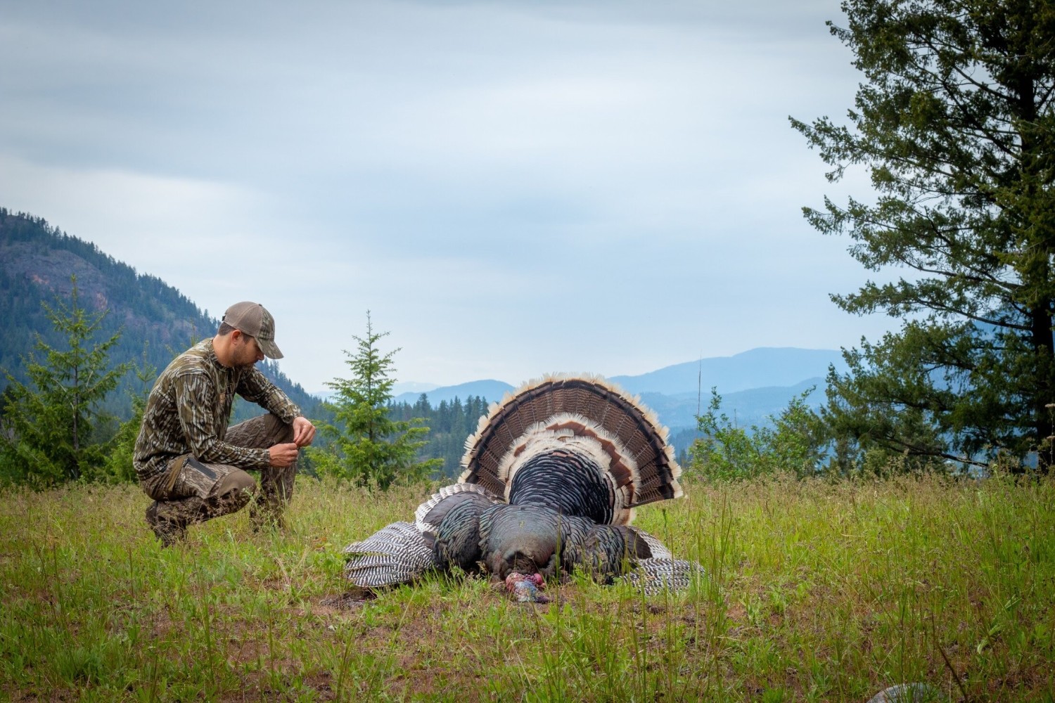 Pinhoti Project - Split Reed