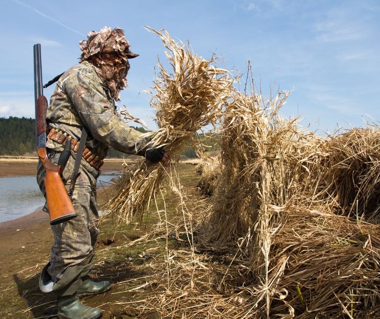 Building a DIY Duck Blind: How to Construct a Permanent Shelter for ...