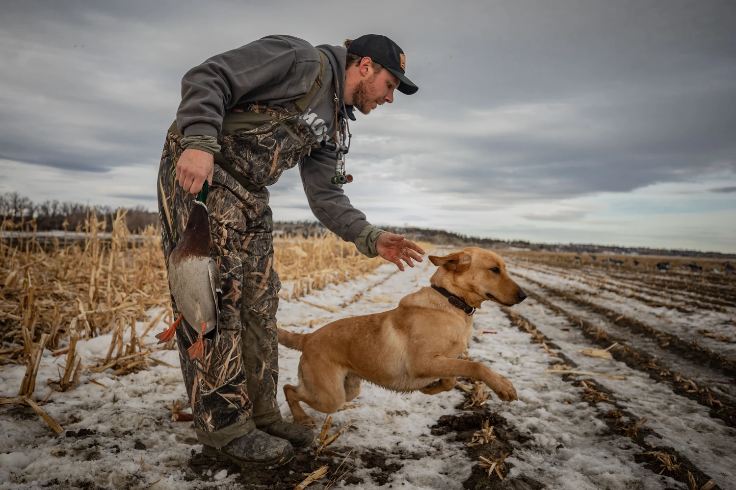 Behind the Guide: Nick Costas - Split Reed