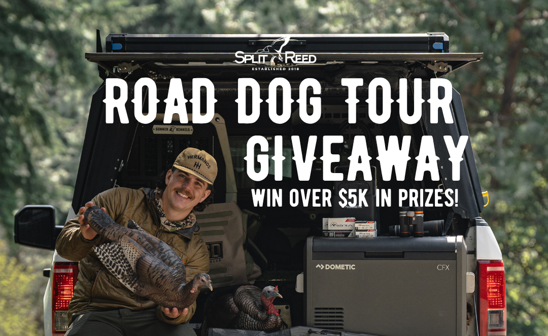 Enter the Split Reed Road Dog Tour Giveaway! - Split Reed