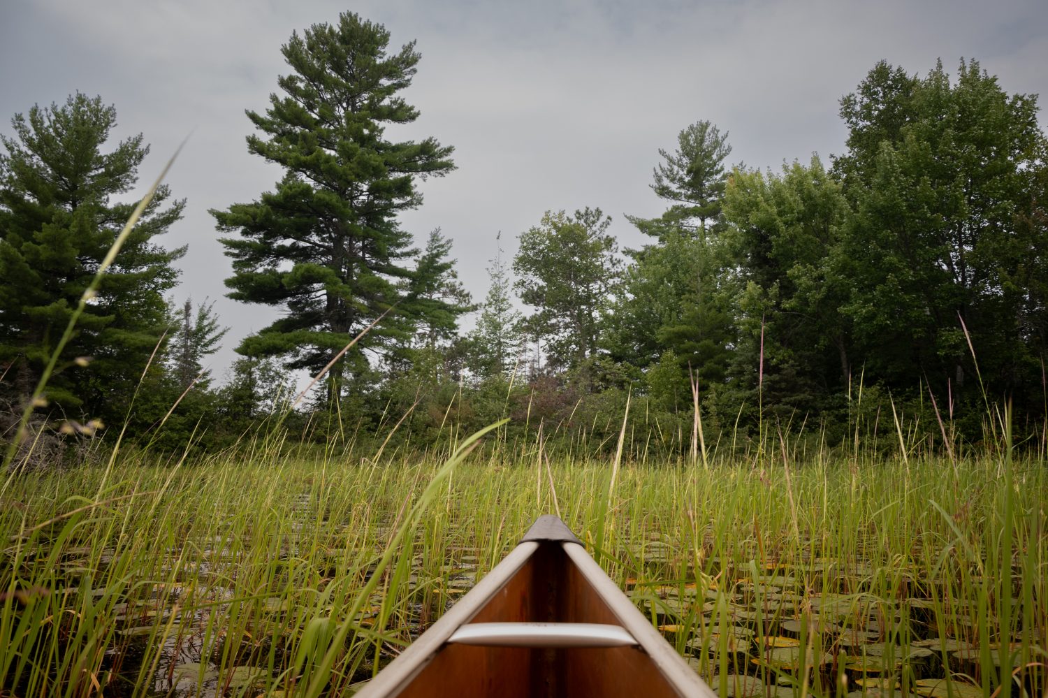 How a Copper-Nickel Mine Near the Boundary Waters Could Impact One of America’s Most Unique ...