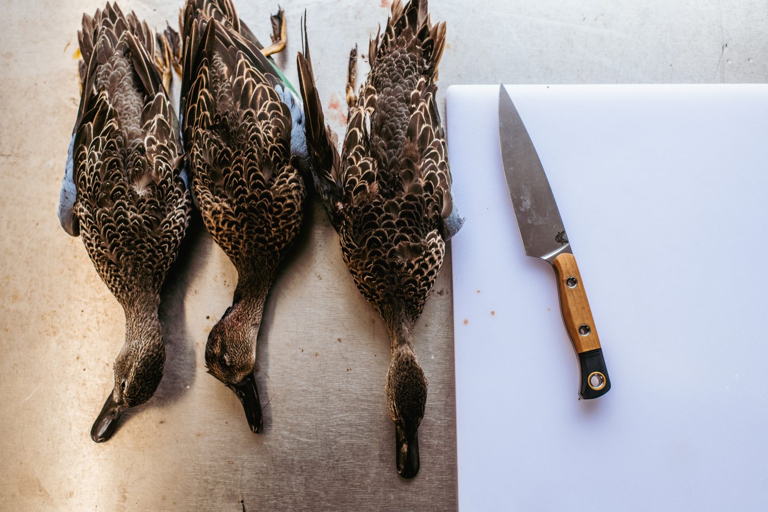 The Best Waterfowl Knives for Cleaning Birds - Split Reed
