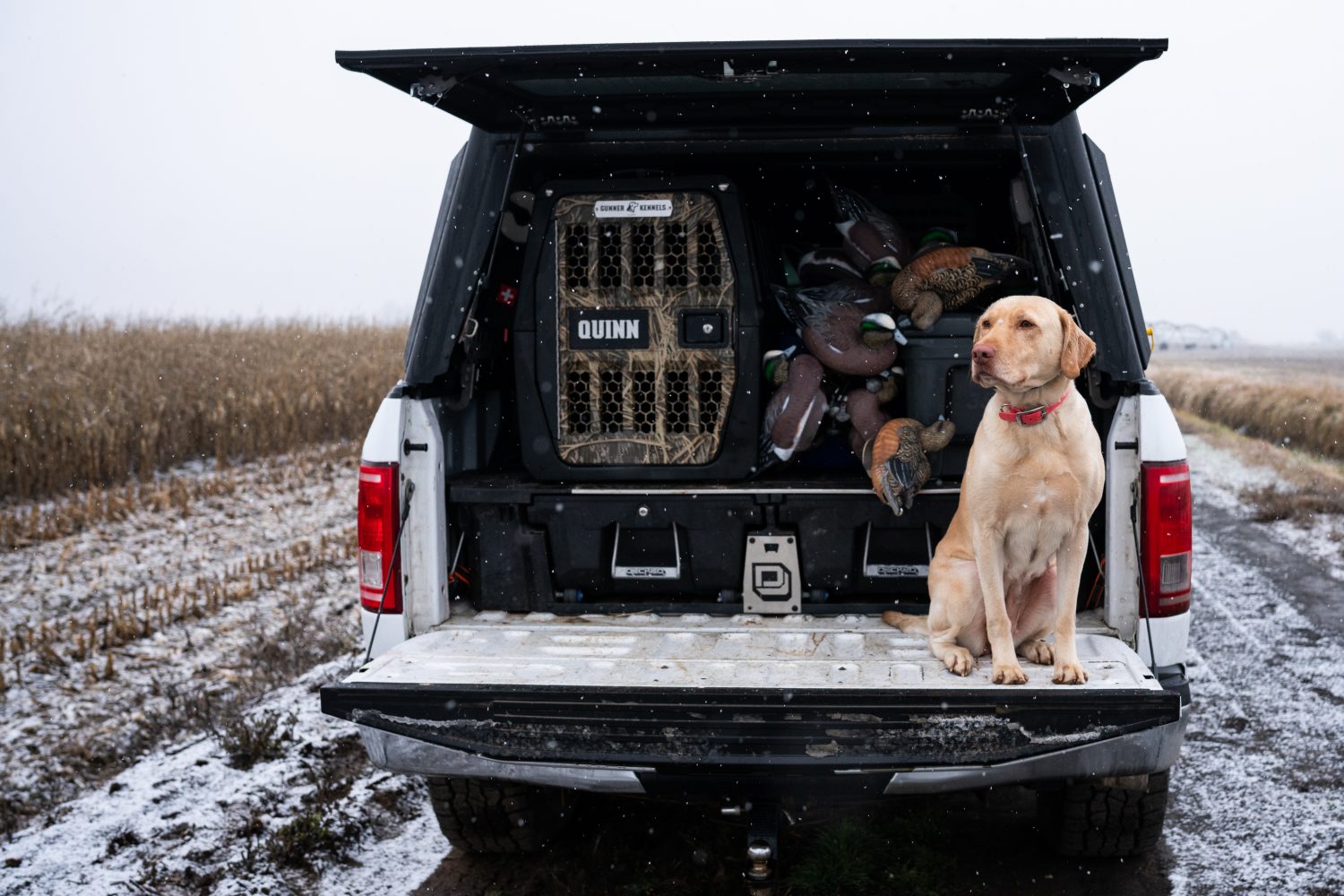 Is the Gunner G1 Kennel Worth It? - Split Reed